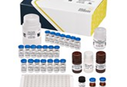 Mycotoxin – Vektör Lab Solutions